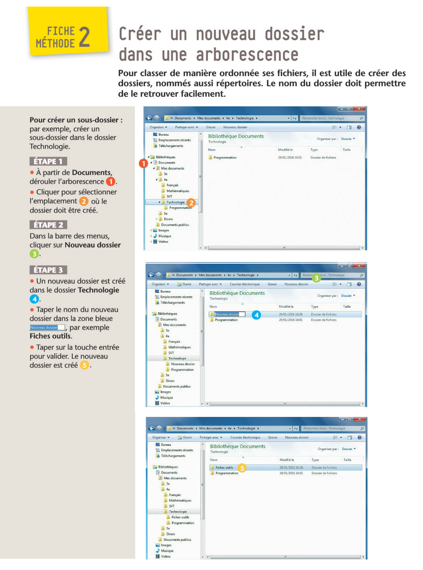 Activité 1 : Je construis mon savoir et mes compétences